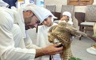 Falconry School in UAE | Ours Abroad News